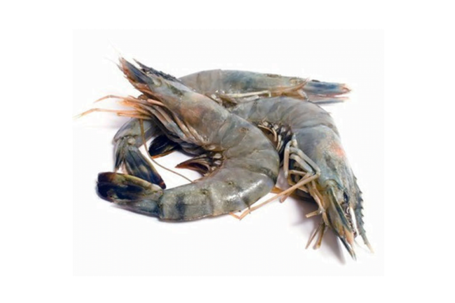 Tiger prawns | Blue Pacific -Straight from the Heart of the Ocean